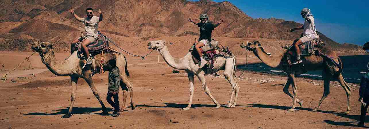 A Tetanus Vaccine UK Residents Can Trust - Chelsea Green Pharmacy